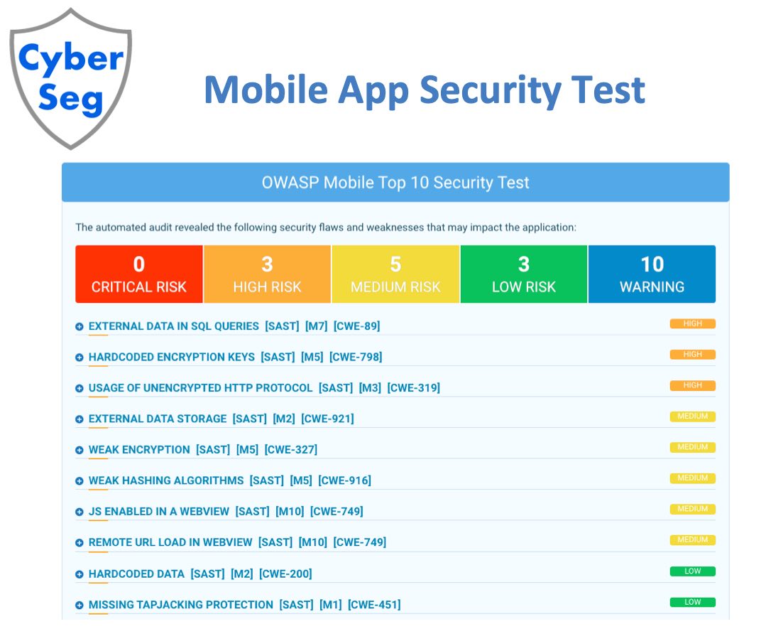 Mobile Application Security Testing