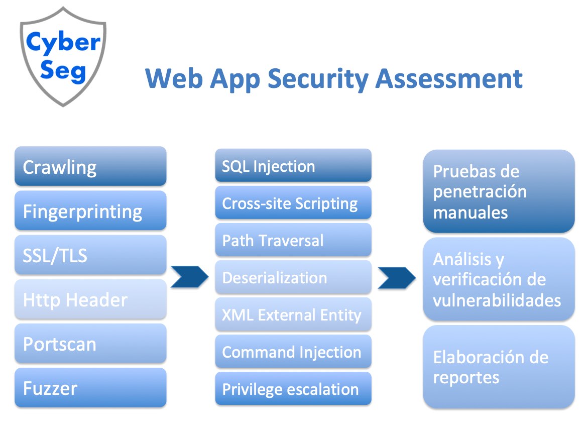 Web Application Security Assessment